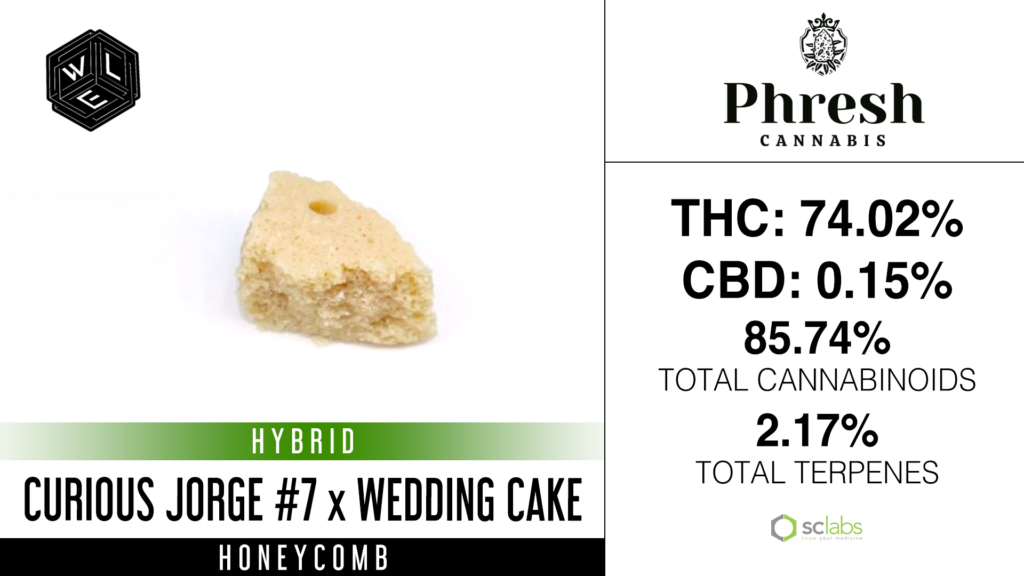 Curious Jorge #7 x Wedding Cake Honeycomb - WLE710